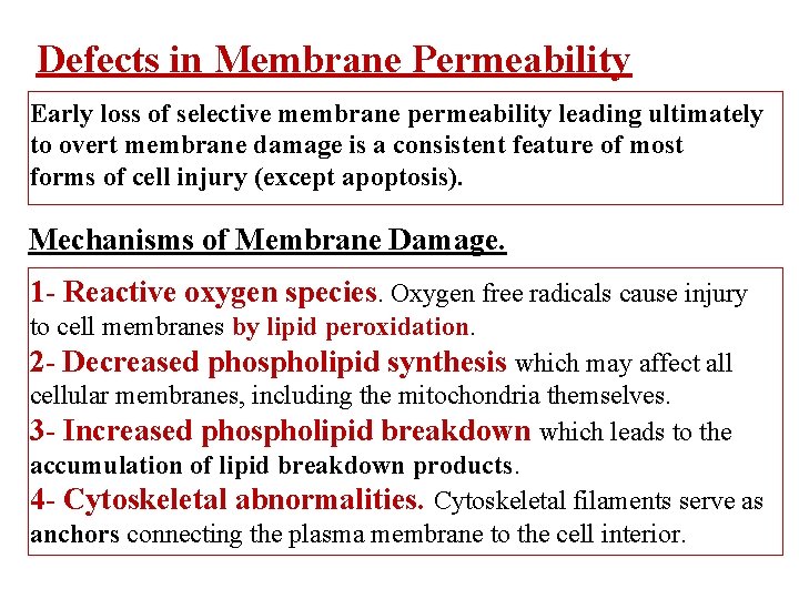 General Pathology Mechanisms of Cell Injury Dr AlSaghbini