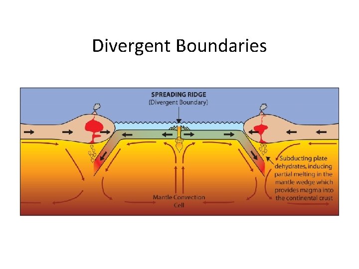 PLATE TECTONIC THEORY DISTRIBUTION OF PLATES ON EARTH