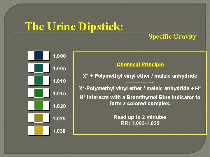 Urine routine and microscopy KEM Hospital Mumbai Urinanalysis