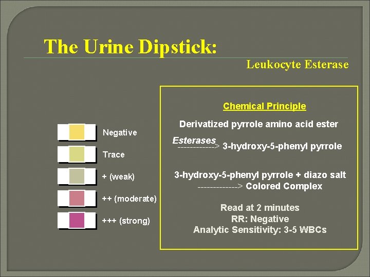 Urine routine and microscopy KEM Hospital Mumbai Urinanalysis