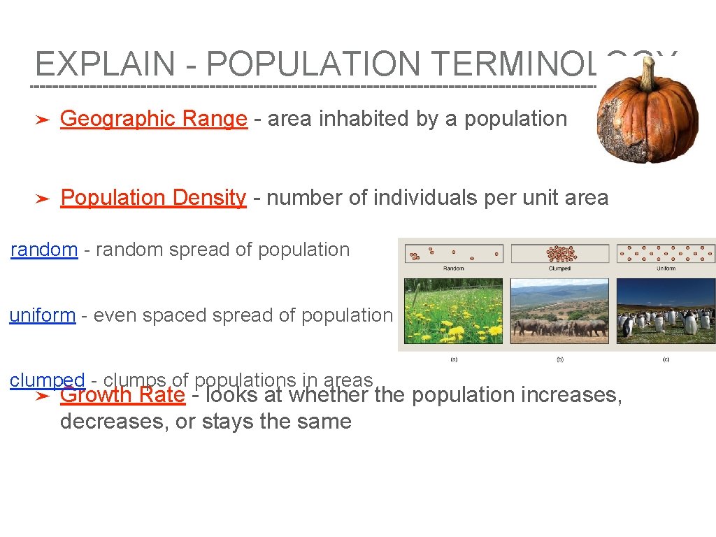 POPULATIONS Big Q What factors affect population growth