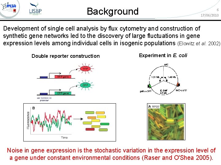 Stochasticity in gene expression evolution evolvability 17 th