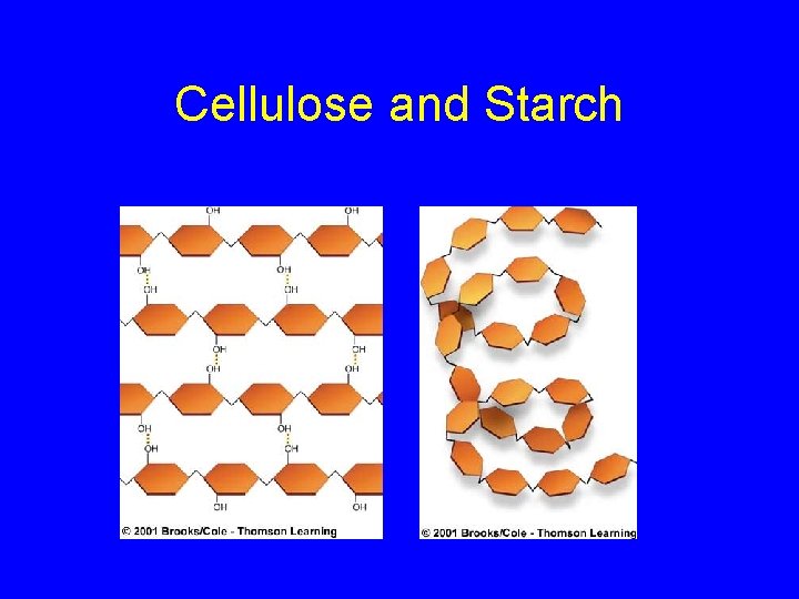 Carbon Compounds In Cells Chapter 3 Organic Compounds