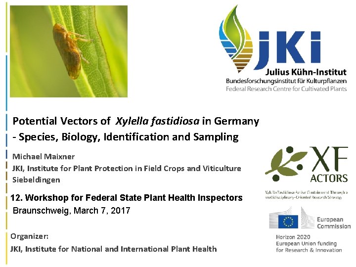 Potential Vectors of Xylella fastidiosa in Germany Species