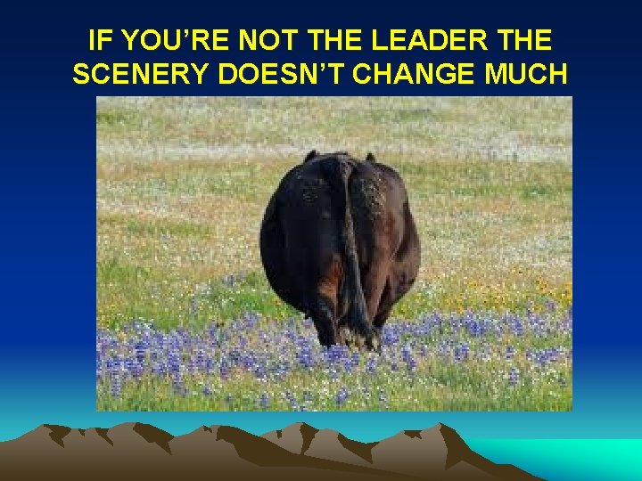IF YOURE NOT THE LEADER THE SCENERY DOESNT