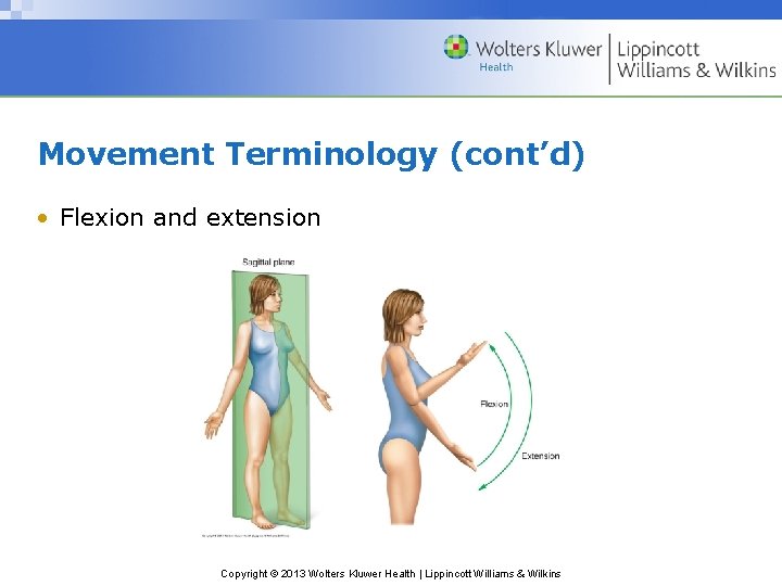 Chapter 2 The Body and Its Terminology Copyright