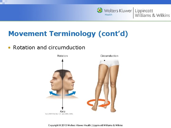 Chapter 2 The Body and Its Terminology Copyright