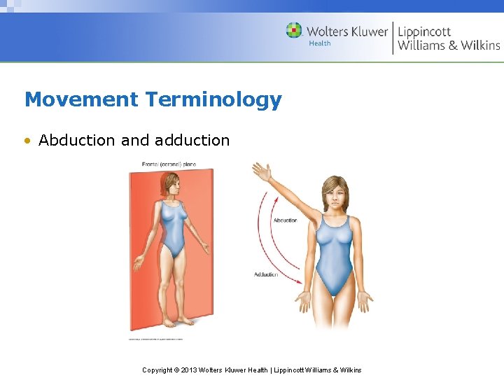 Chapter 2 The Body and Its Terminology Copyright