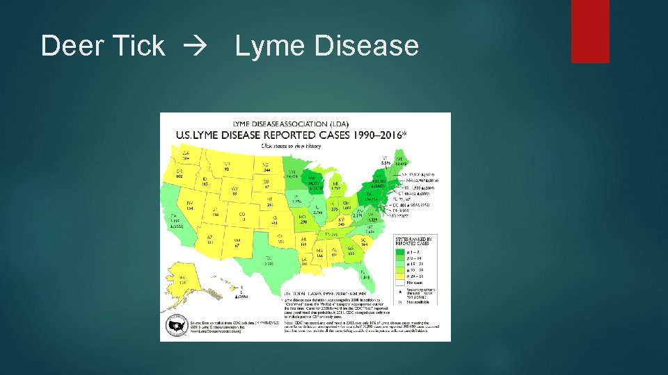 Tick Borne Disease HOW TO PREVENT AND MANAGE