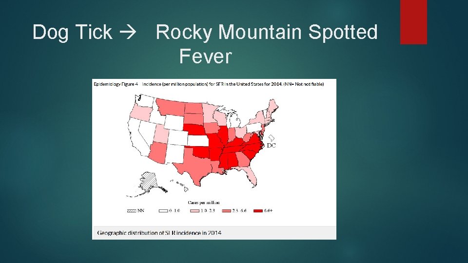 Tick Borne Disease HOW TO PREVENT AND MANAGE