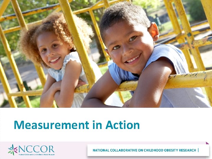 INTRODUCING THE MEASURES REGISTRY USER GUIDE PHYSICAL ACTIVITY