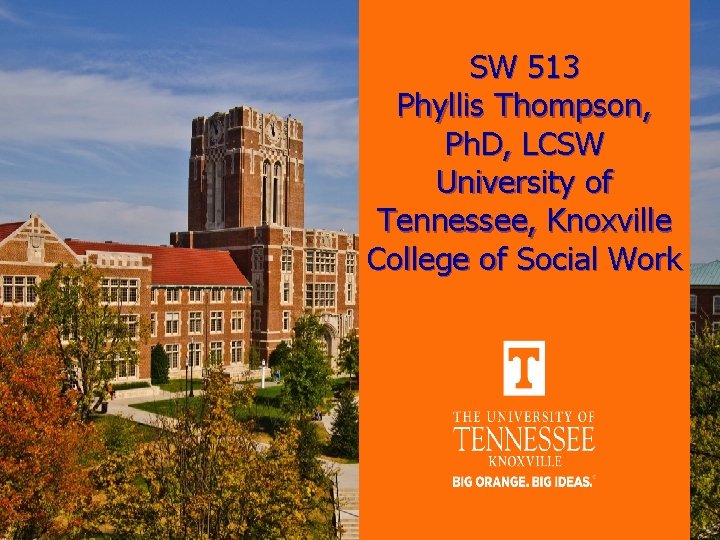 SW 513 Phyllis Thompson Ph D LCSW University