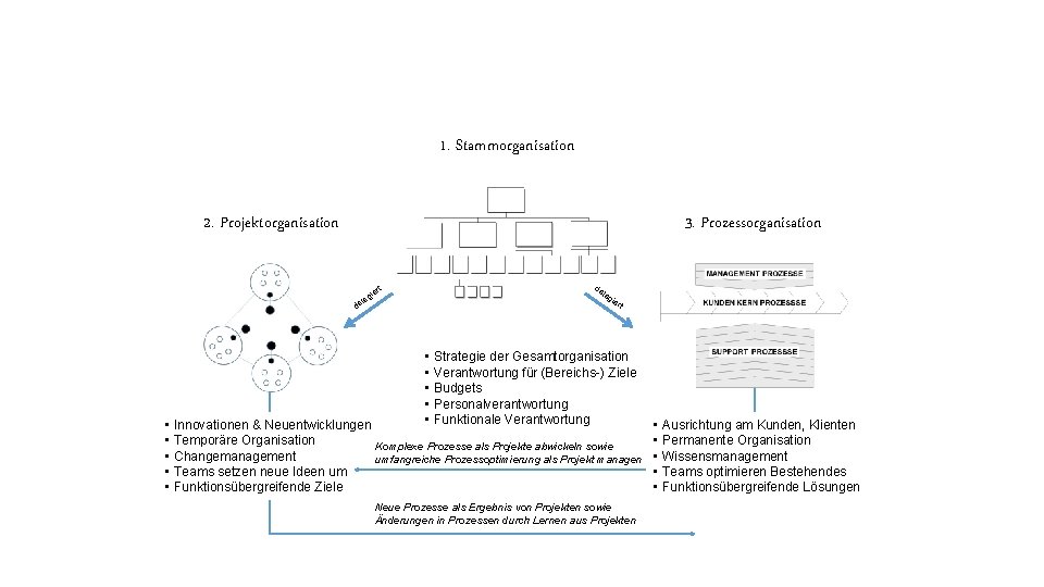 1 Stammorganisation 3 Prozessorganisation 2 Projektorganisation ed er