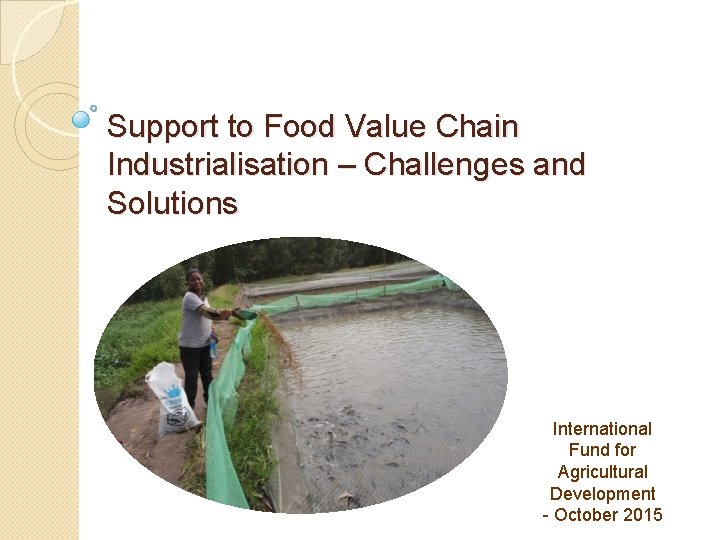 Support to Food Value Chain Industrialisation Challenges and