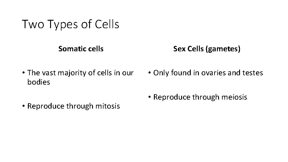 Biological Anthropology On Cells DNA and Proteins Cell