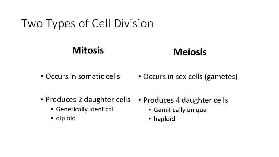 Biological Anthropology On Cells DNA and Proteins Cell