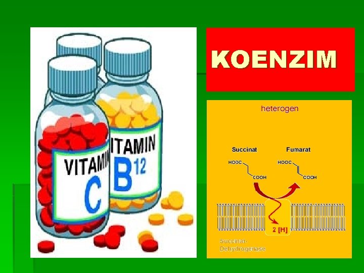 KOENZIM Holoenzim Apoenzim bag protein dan Koenzim Koenzim