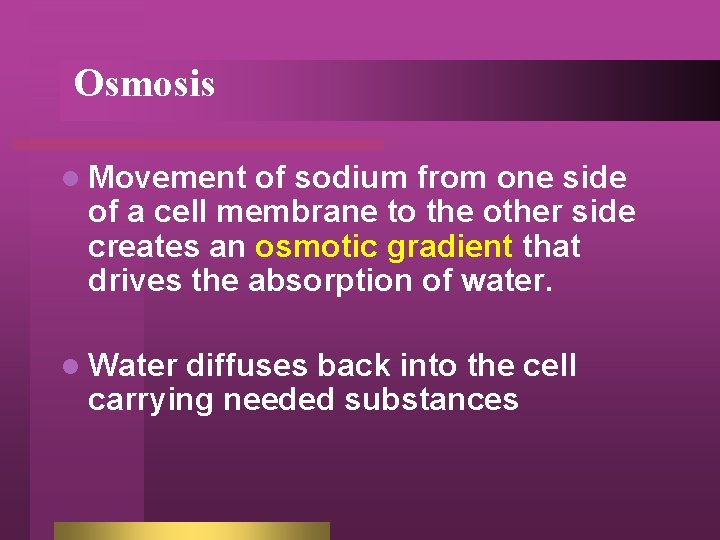 Transport across the cell membrane Active Transport requires