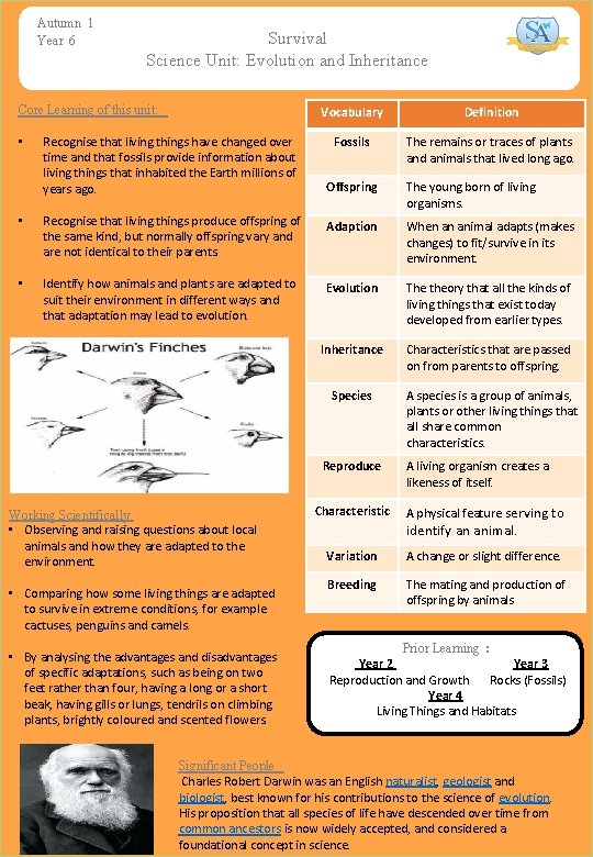Autumn 1 Year 6 Survival Science Unit Evolution