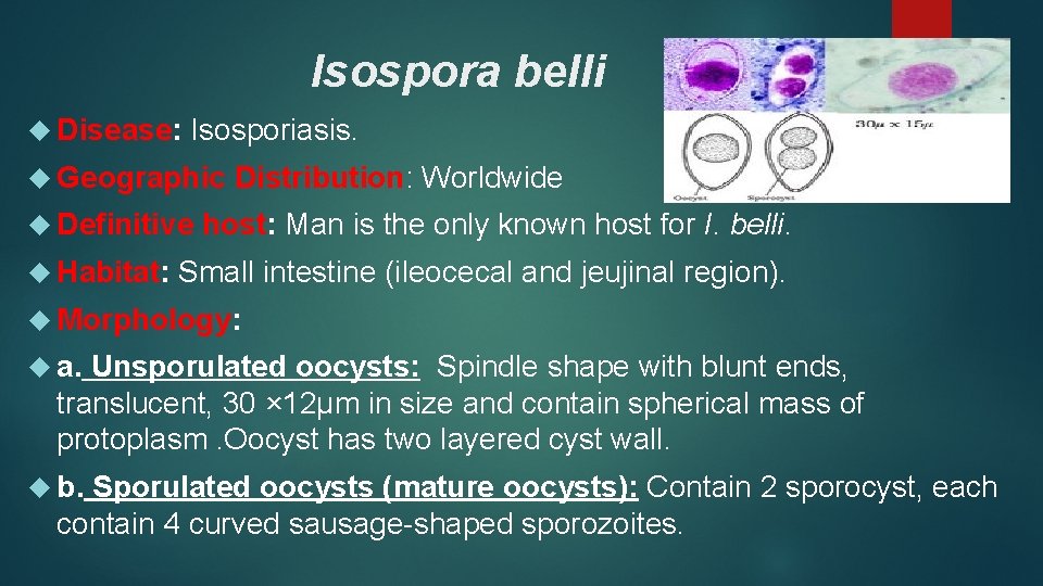 Lecture of medical Parasitology 3 rd medical year
