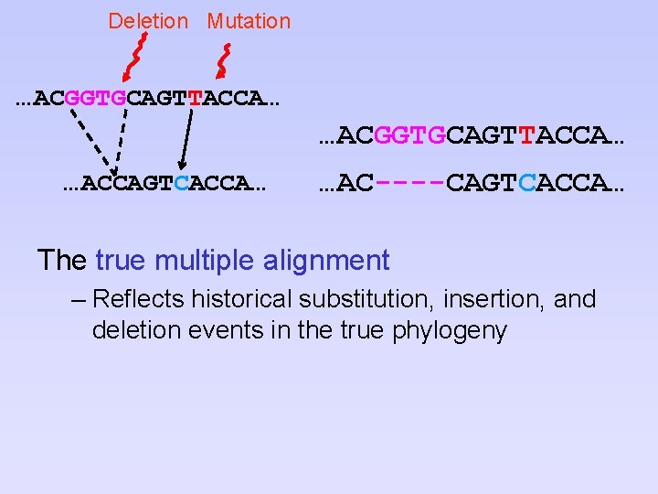 Sequence alignment CS 394 C Tandy Warnow Feb