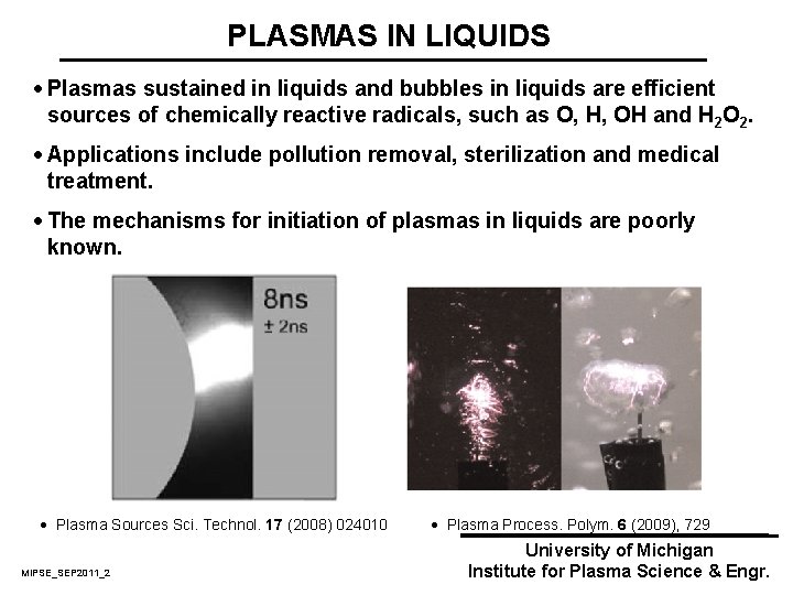 PLASMA DISCHARGE SIMULATIONS IN WATER WITH PREEXISTING BUBBLES