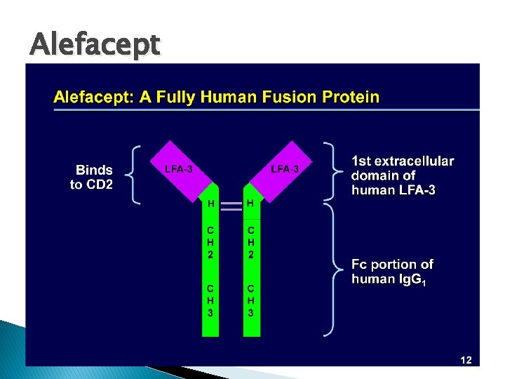 Biological Therapy Ahmed R AlAgamy Assistant Lecturer of