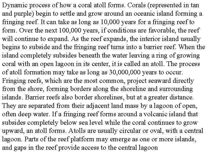 Coral reefs begin to form when freeswimming coral