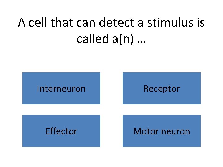 Leaving Certificate Biology Senses 2 EQ i Quiz