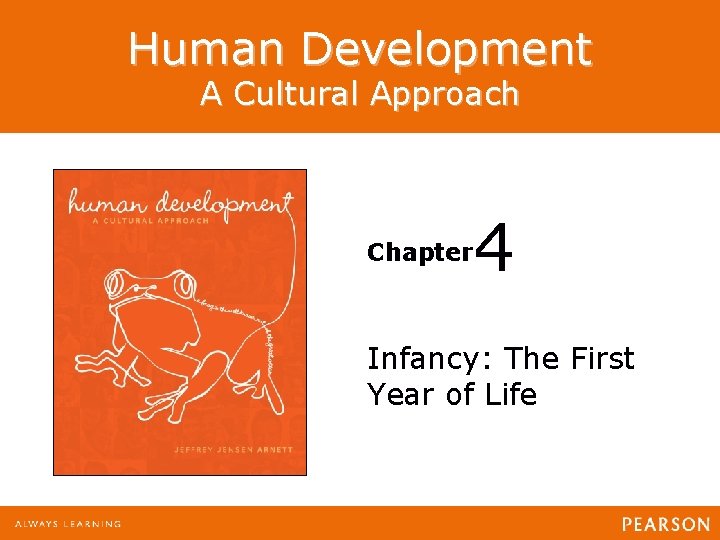 Human Development A Cultural Approach Chapter 4 Infancy