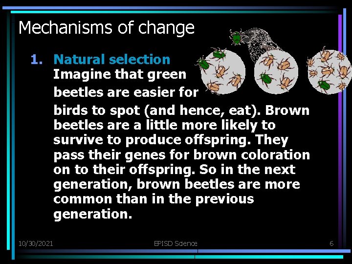 Mechanisms of Change Natural Selection Genetic Drift Gene