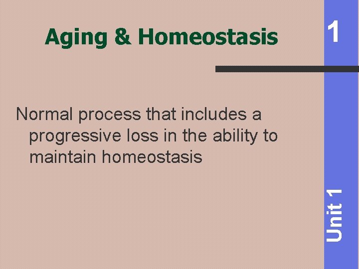 Organization of the Human Body 1 Unit 1