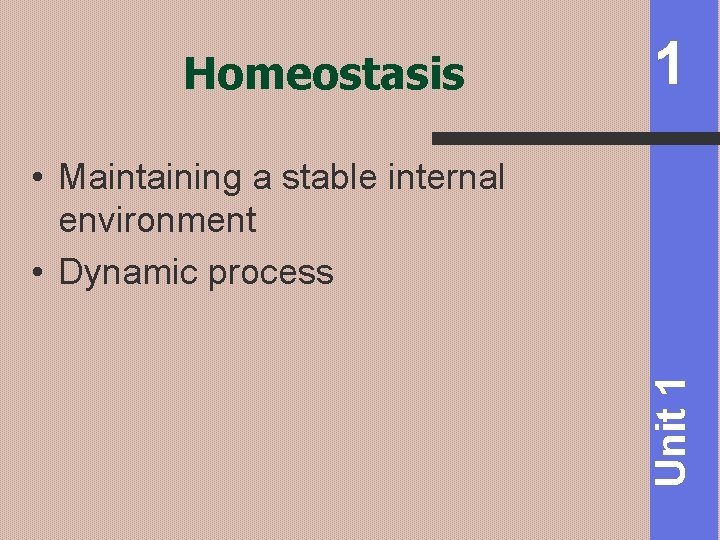 Organization of the Human Body 1 Unit 1