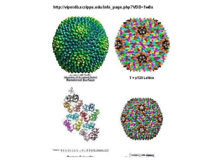 Visualization of Biomolecular Complexes Vijay Reddy The Scripps