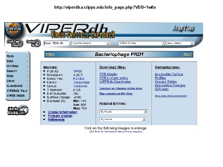 Visualization of Biomolecular Complexes Vijay Reddy The Scripps