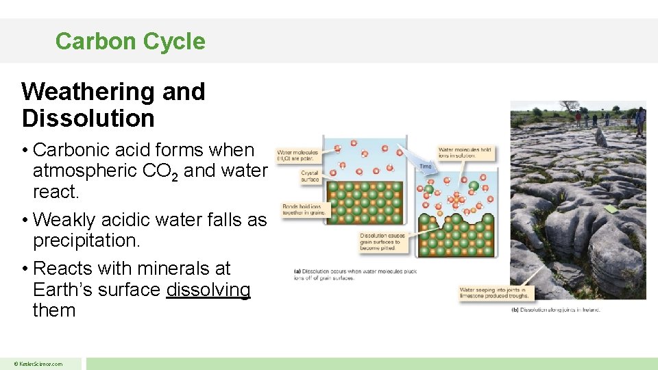 Carbon Cycle Presented by Kesler Science Essential Questions