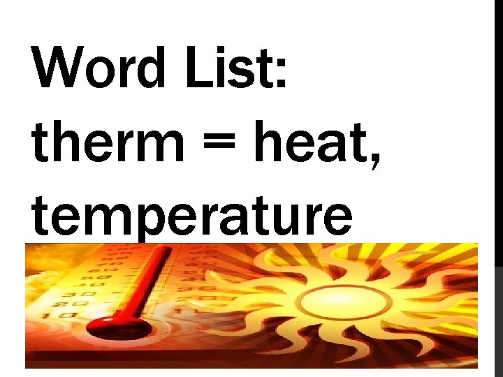 Word List therm heat temperature an organism that