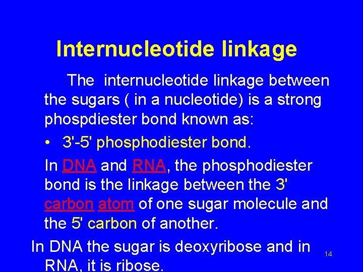 Biochemistry of nucleotides Nucleic Acids By Dr Howeida