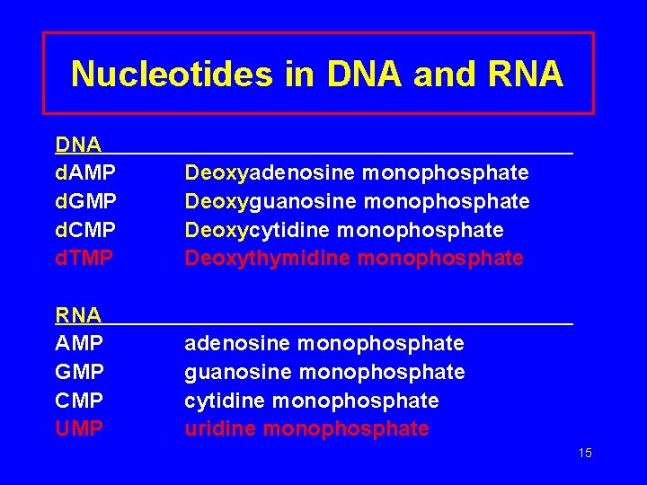 Biochemistry of nucleotides Nucleic Acids By Dr Howeida