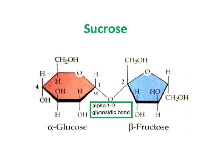 CARBOHYDRATES CLS 101 Chemistry for Nursing Carbohydrates are