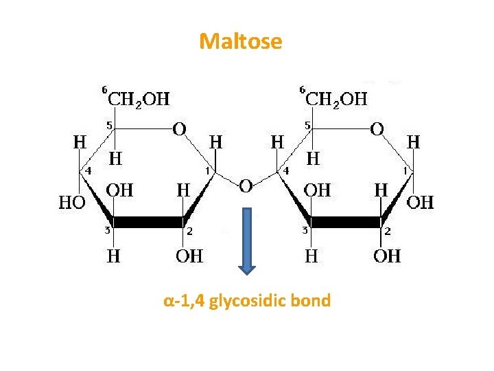 CARBOHYDRATES CLS 101 Chemistry for Nursing Carbohydrates are