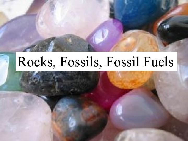 Minerals Rocks Rocks Fossils Fossil Fuels Sedimentary Rock