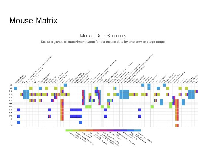 Face Base Hub Years 1 through 5 Carl