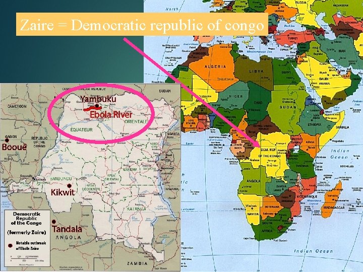 The story of Ebola virus Zaire Democratic republic