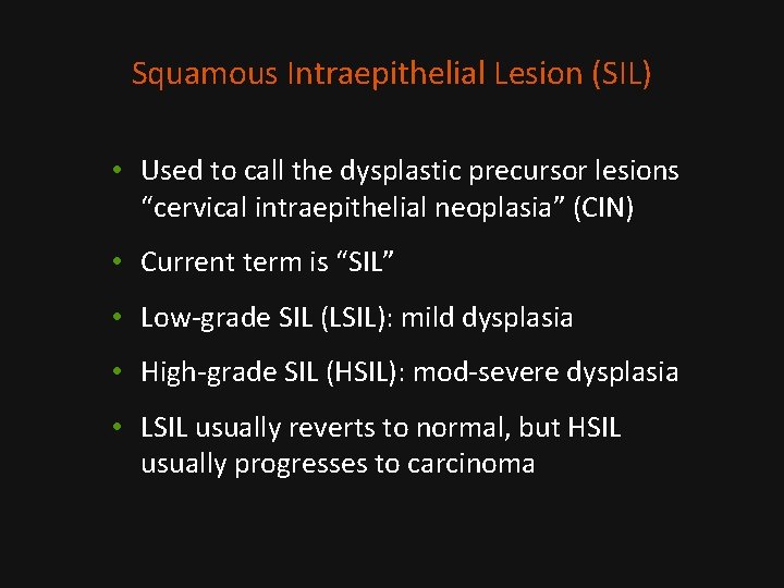 Female Reproductive System Kristine Krafts M D Female