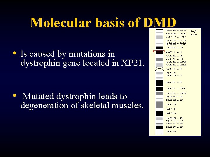 Molecular Prenatal Diagnosis By Dr Ashraf El Harouni