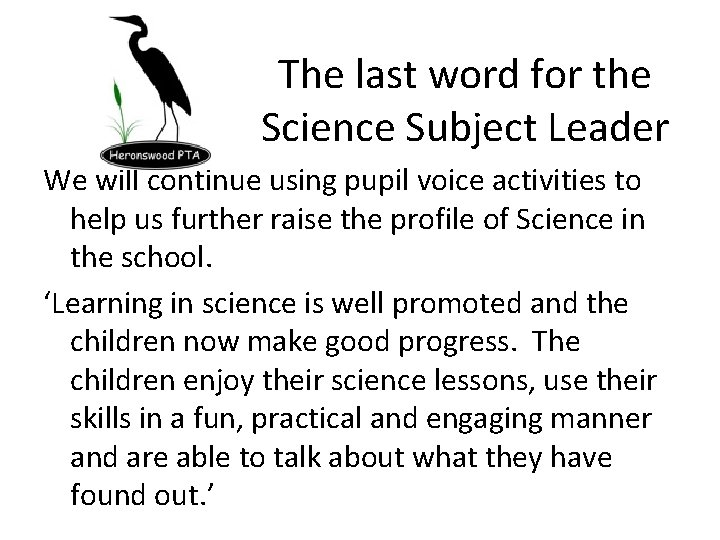 Heronswood Primary School Pupil Voice the issues pupils