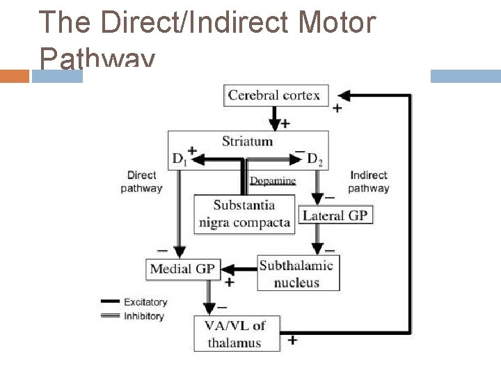 ASSESSING SPONTANEOUS EYE BLINK RATE AS A PREDICTOR