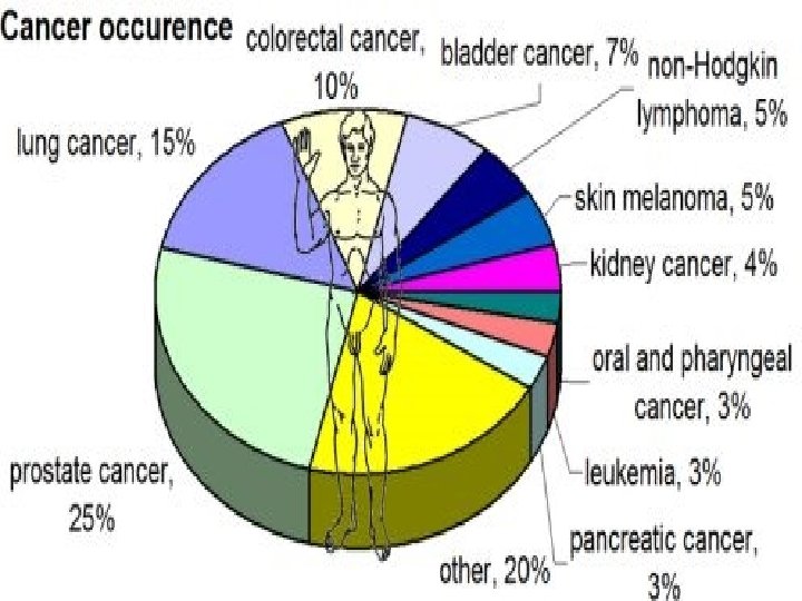 Cancer Introduction to Biology Tumor Spread Dr Gary