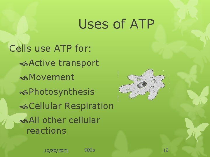 Photosynthesis Chapter 4 Energy and Metabolism 1 SB